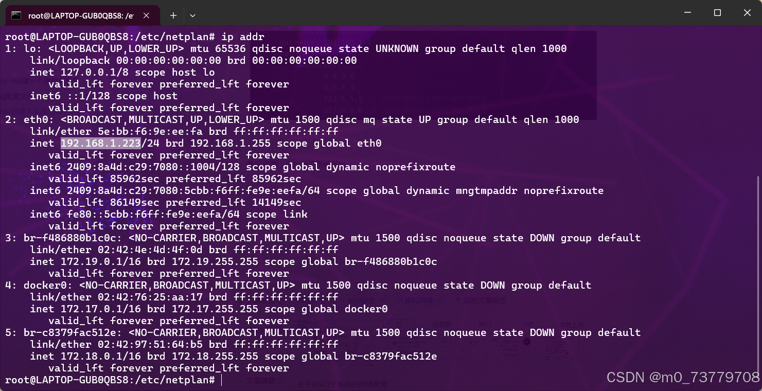 WSL2子系统如何设置桥接和静态ip | Bbdolt's Blog